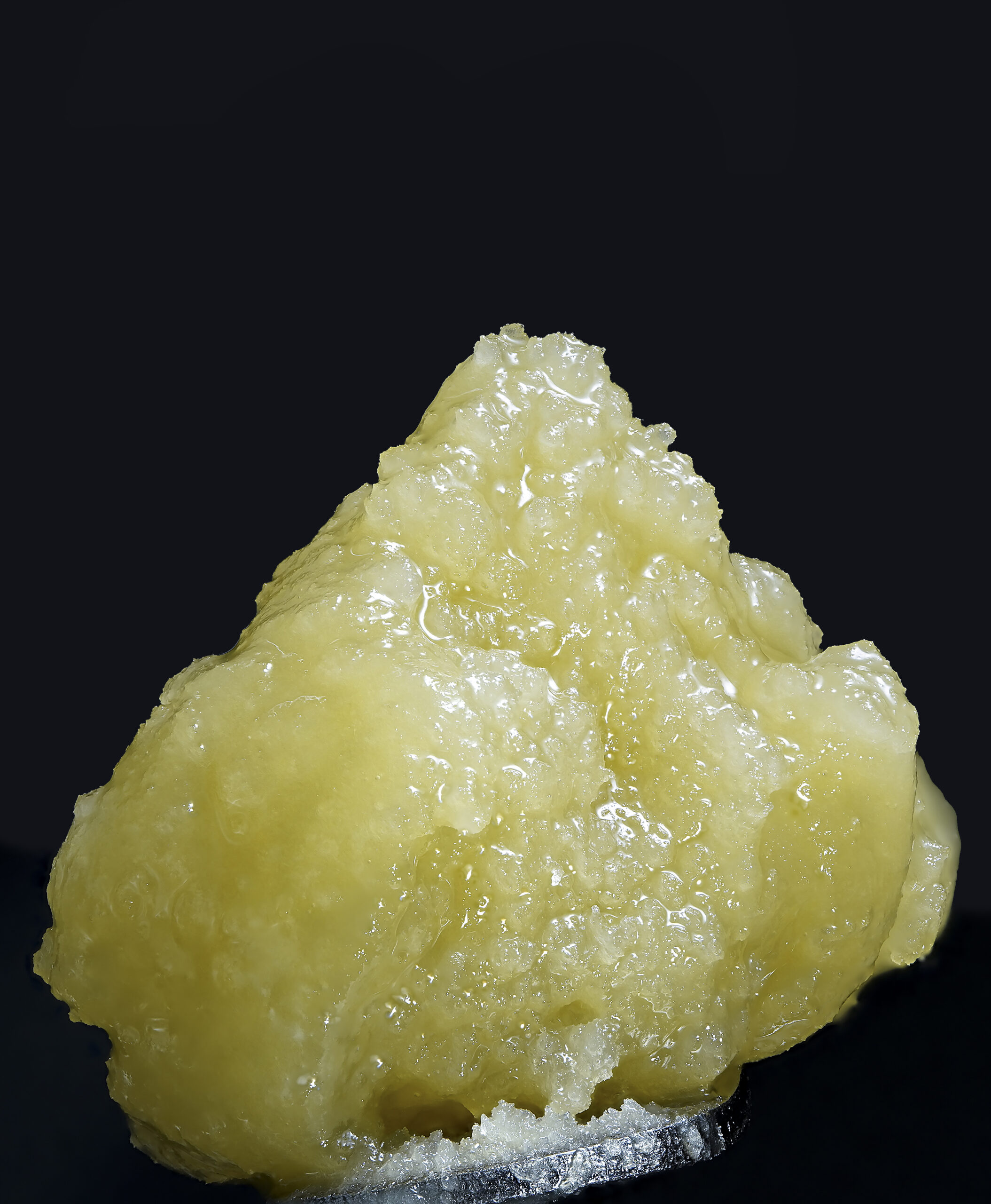 Head Mount Strain | Wojo Co