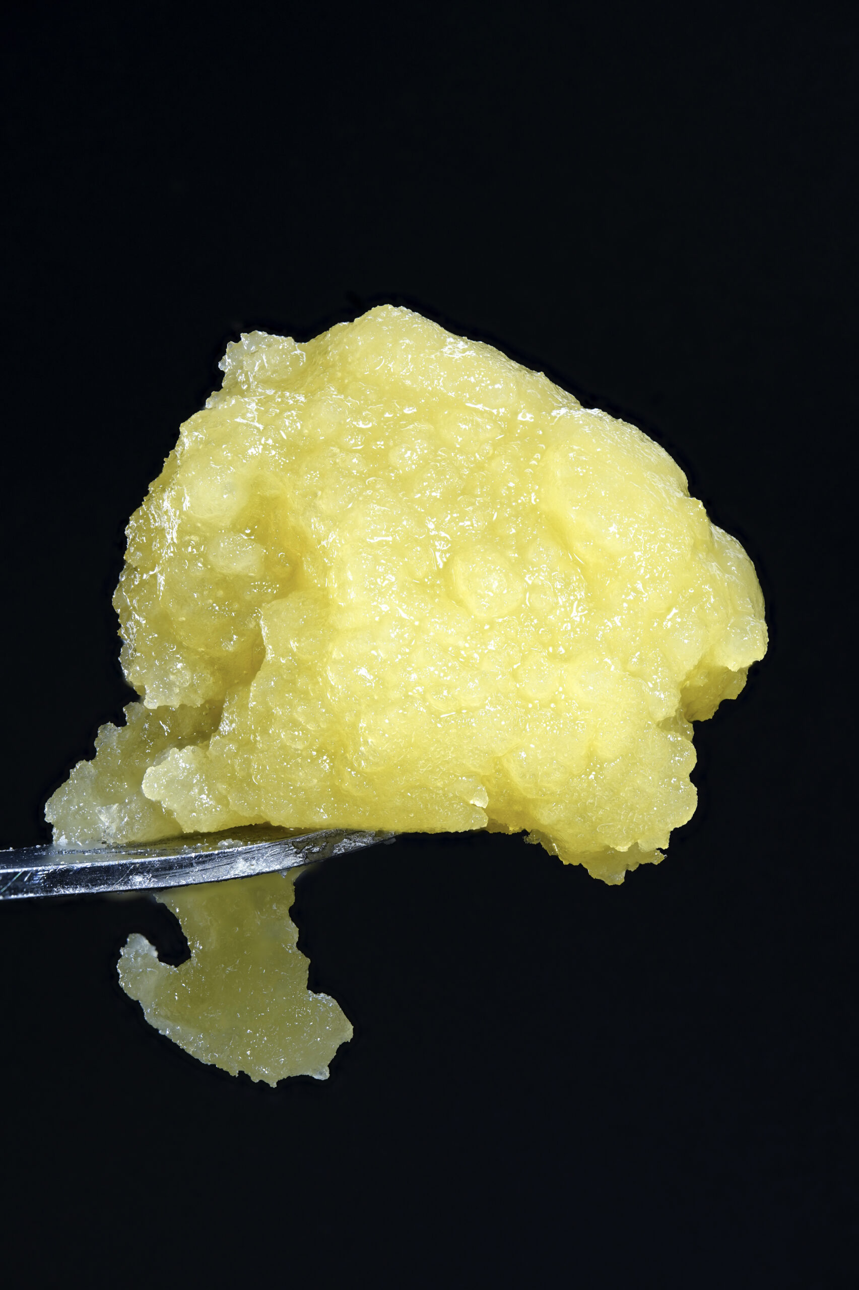 Tropi'scotti | Wojo Co