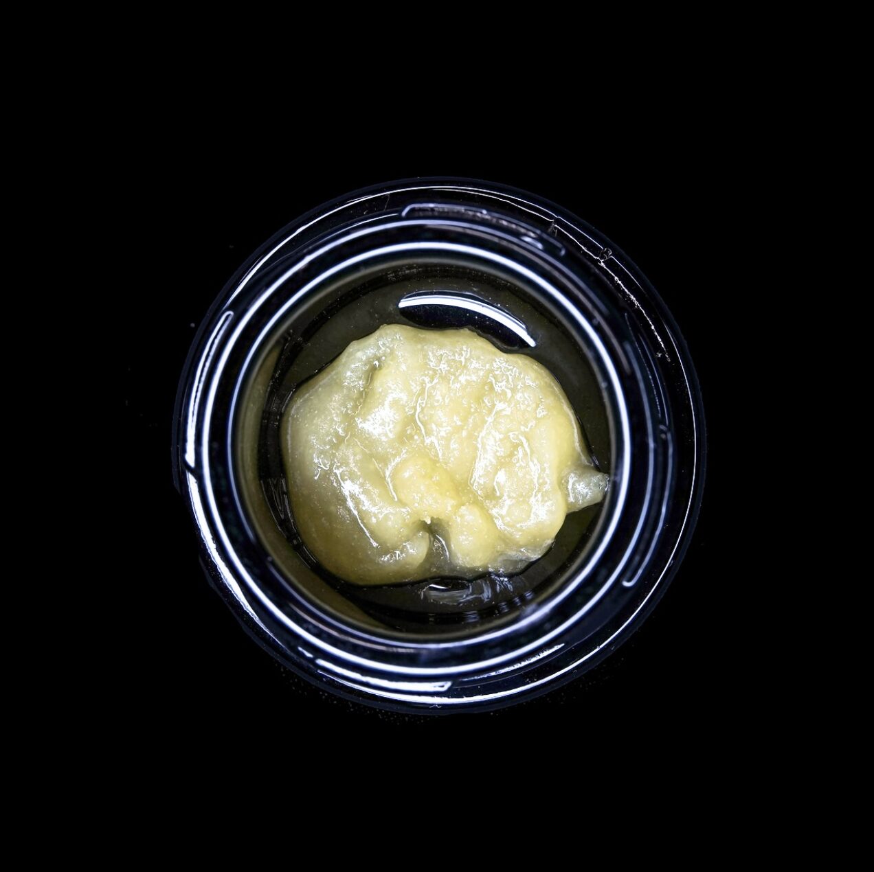 Bahama Berry | Wojo Co