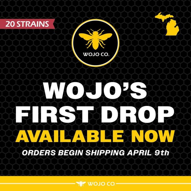 Where's Wojo? | Wojo Co