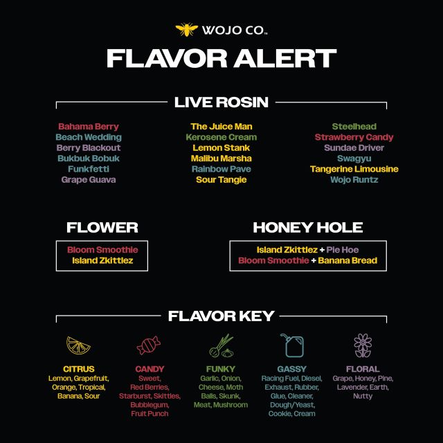 Where's Wojo? | Wojo Co